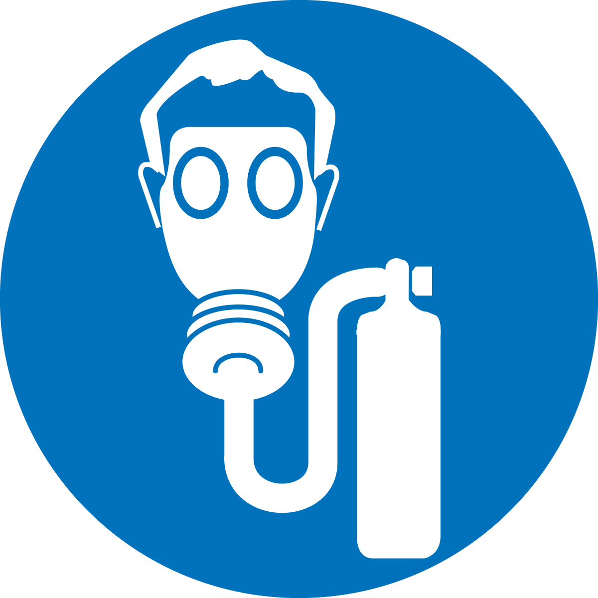 Pictogram Safety Labels (LSGM2348)