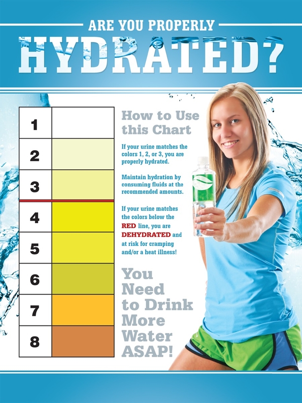 Are You Properly Hydrated Safety Posters PST170