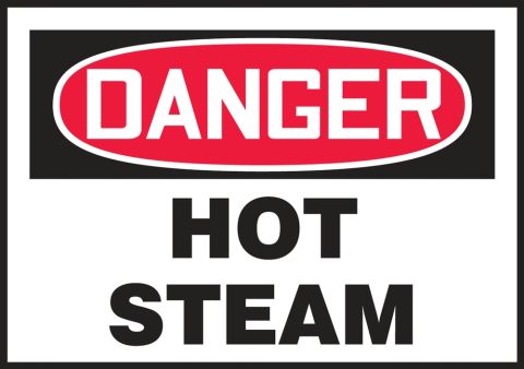 OSHA Danger Safety Label: Hot Steam (LCHL006VSP)